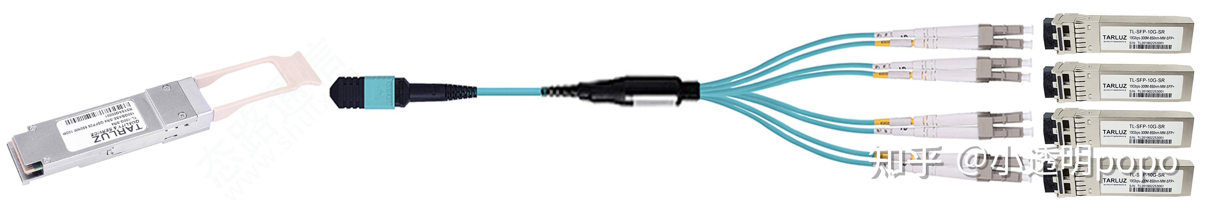 如何将 MPO 接口光模块与 LC 接口光模块进行连接？ - 知乎