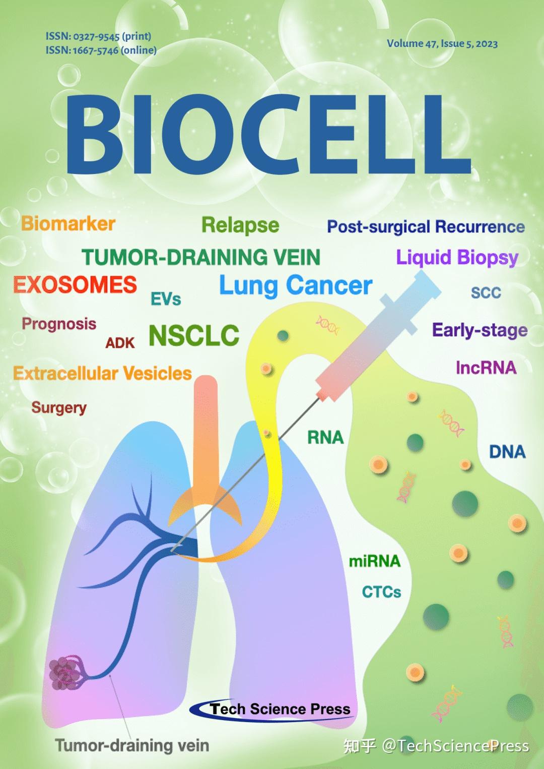 BIOCELL期刊编委张煜东教授：通过前沿医学图像处理推进医学诊断与治疗 | TSP人物专栏 - 知乎