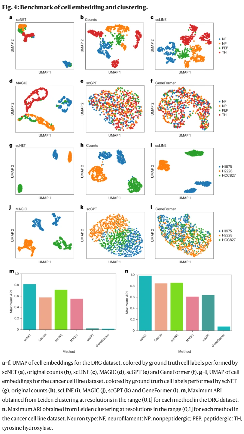 Nat. Methods | scNET：跨越细胞与基因的鸿沟，用蛋白互作网络解码单细胞表达图谱 - 知乎