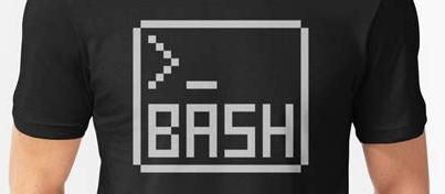Bash编程入门-1：Shell与Bash - 知乎
