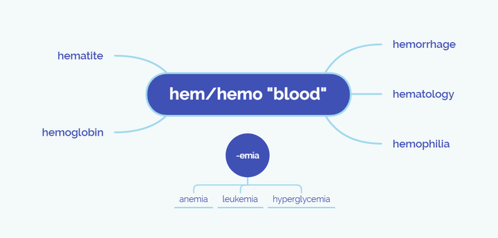 词根系列 | HEM/HEMO "blood" - 知乎