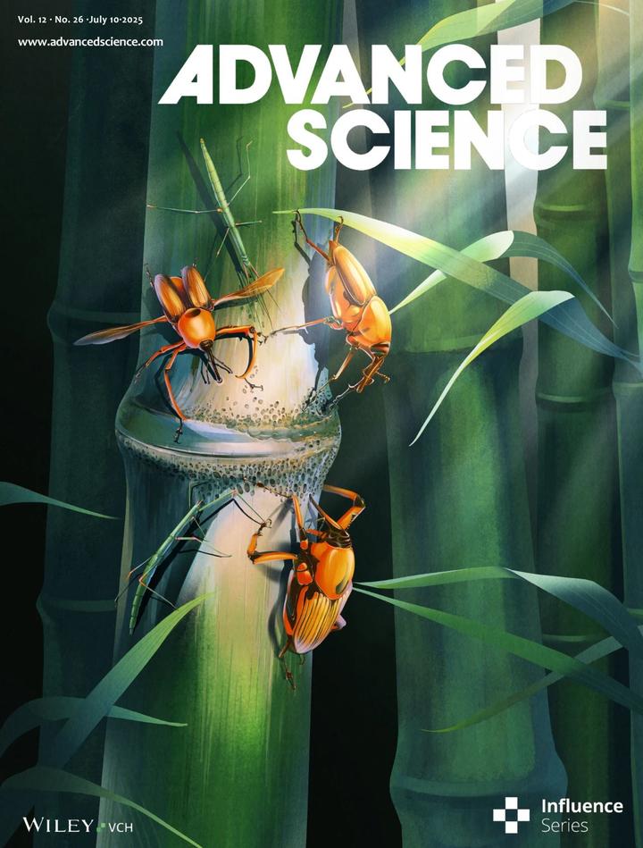 《Advanced Science》封面设计全过程分享 | Vol.12 No.26 - 知乎