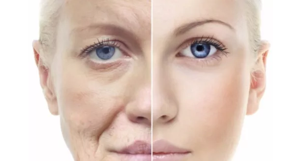 Why Age? Should We End Aging Forever? - 知乎