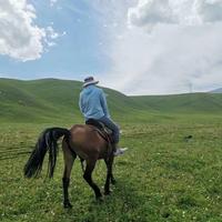 C++11：自动类型推导 auto 和 decltype（上） - 知乎