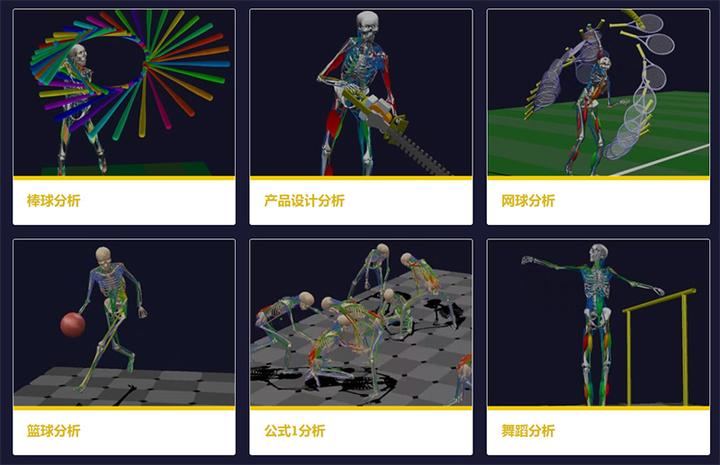 专业人员如何使用BOB人体生物力学分析软件创建人体骨骼肌肉模型？有哪些技术要点值得关注？ - 知乎
