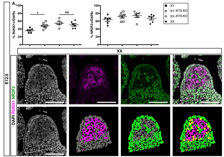 2023年11月Science期刊精华 - 知乎