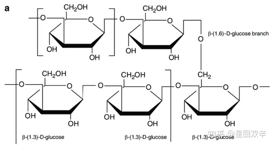 藻类光合作用会产生什么？ - 知乎