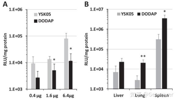 一种新型脂质组合可将pDNA递送到脾脏中的免疫细胞 - 知乎