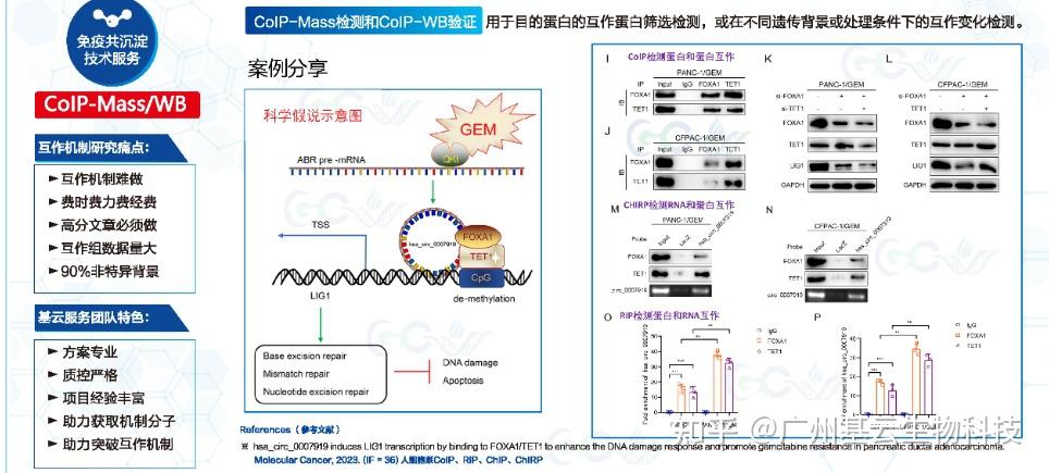 CoIP-WB实验检测方案和检测要点 - 知乎