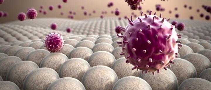 BMS放弃巨噬细胞免疫检查点抑制剂JTX-8064全球开发权益 - 知乎