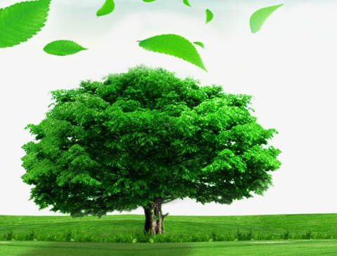 【IEEE审稿流程及状态】 - 知乎