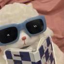 文献阅读： ELGC-Net - 知乎