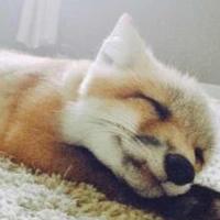 IEEE Transactions on Mobile Computing/TMC 投稿记录 - 知乎