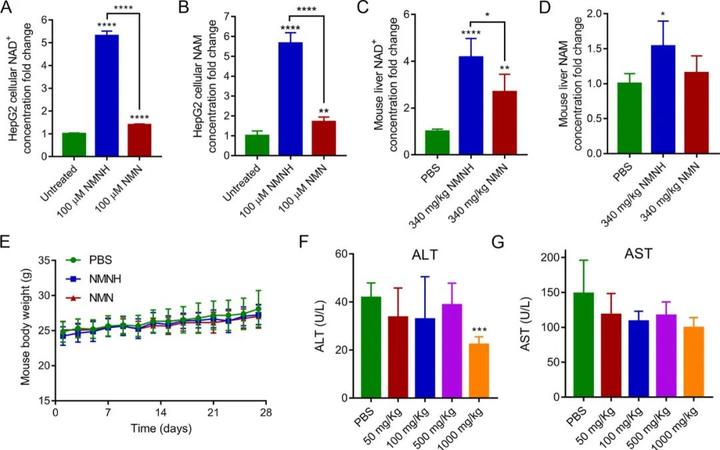 NMNH：低调的实力派，实力可能远超NMN - 知乎