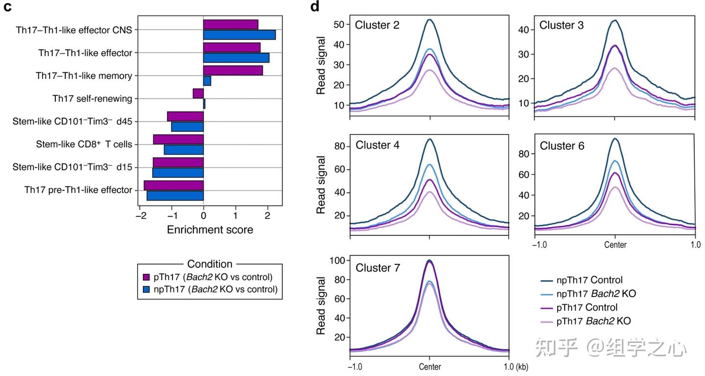 nature immunology | BACH2调控“调节性”和“促炎性”TH17细胞的染色质多样化状态 - 知乎
