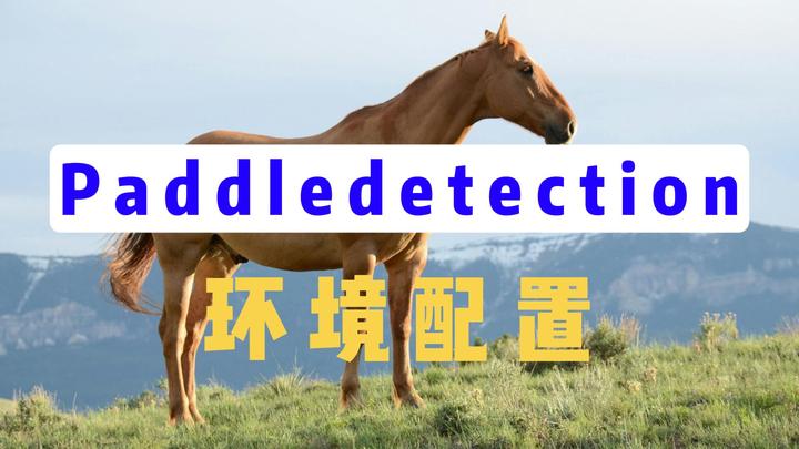 使用Paddledetection进行模型训练【Part1：环境配置】 - 知乎