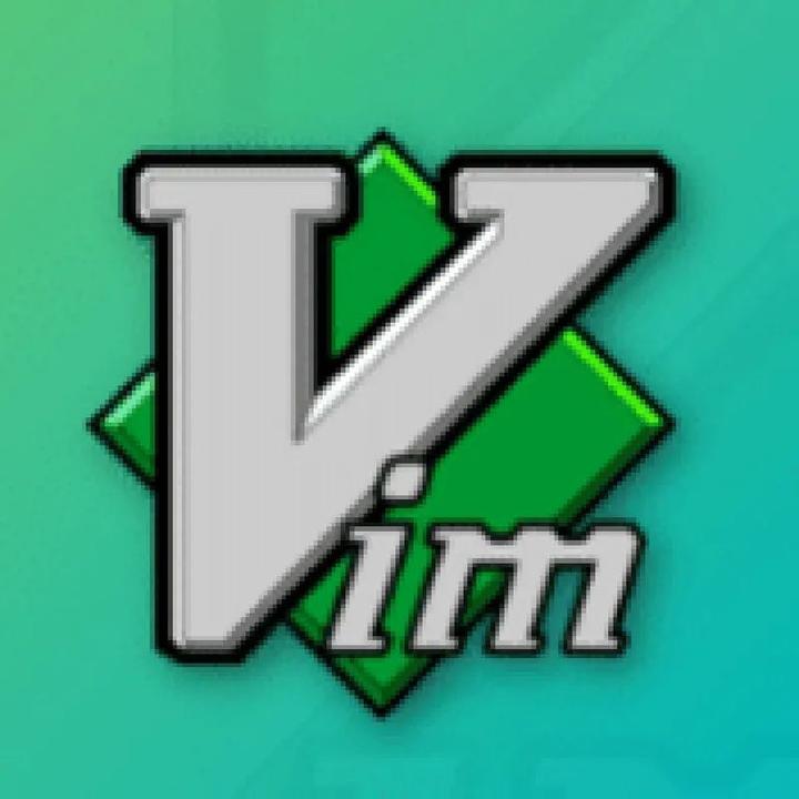 Vim 9.0 正式发布，新版脚本执行速度最高提升 100 倍 - 知乎