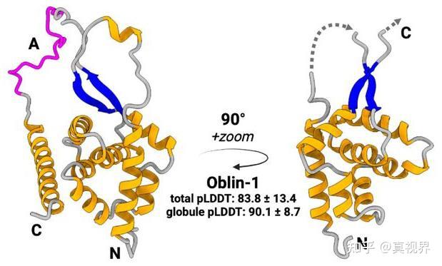 obelisks——人类肠道微生物中发现新的类病毒 - 知乎