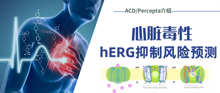 心脏毒性-hERG钾通道抑制预测模型介绍 - 知乎
