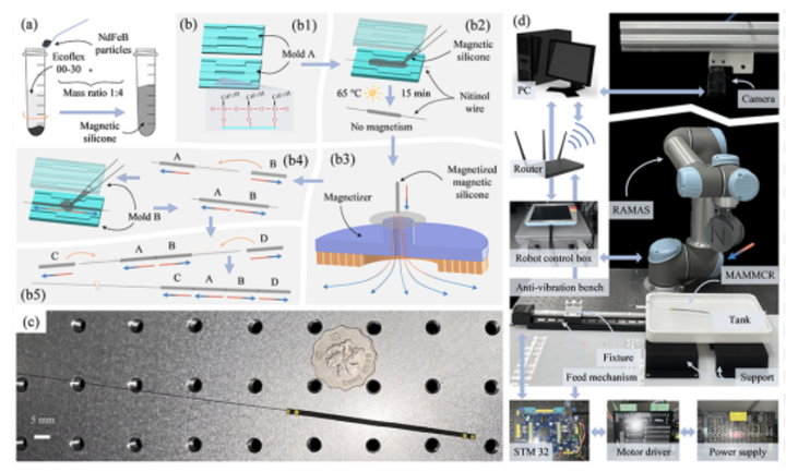 IEEE TRO发表！揭秘模块化轴向充磁连续体机器人的设计与控制策略！ - 知乎