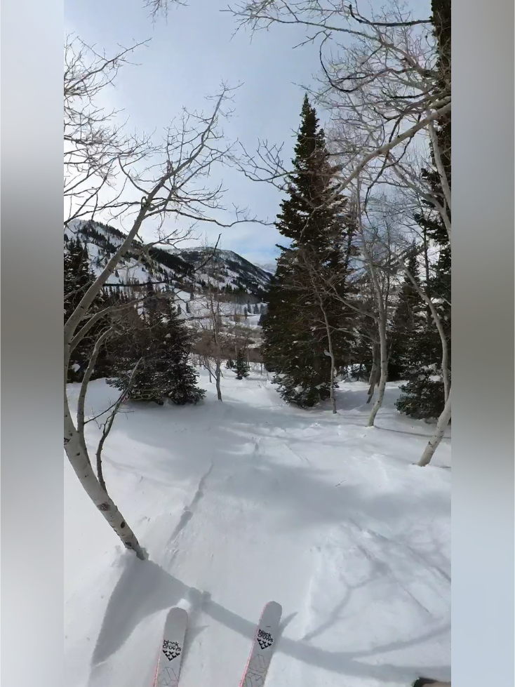 浅谈美国盐湖城 Alta 滑雪场 - 知乎