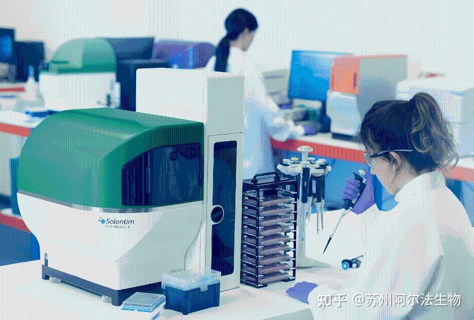 单细胞成像仪：什么是高内涵细胞成像分析系统？ - 知乎
