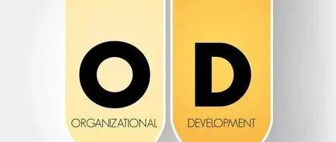 组织发展（OD）到底是什么？一文讲懂！ - 知乎