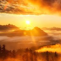 大六座SUV选择，蔚来ES8、问界M8、问界M9 - 知乎