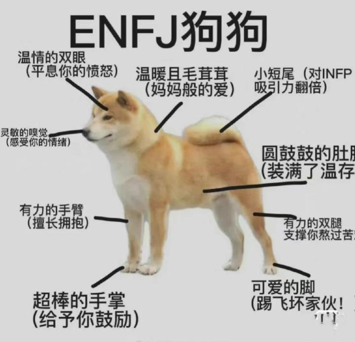 Enfj型人格分析 知乎