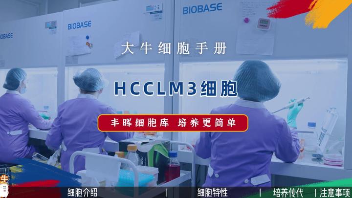 HCCLM3细胞培养，人高转移肝癌细胞培养攻略-丰晖生物 - 知乎