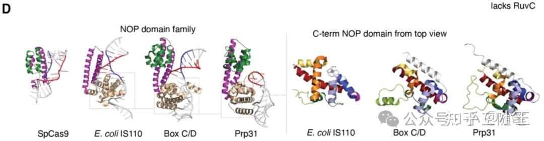 张锋发现新RNA引导系统TIGR-Tas：挖掘详述 - 知乎