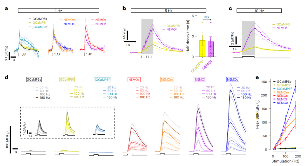 小布解读 | Nat Methods | 王友军/章晓辉/唐爱辉团队合作开发新型钙指示剂 NEMO-具有大动力学和高灵敏度 - 知乎