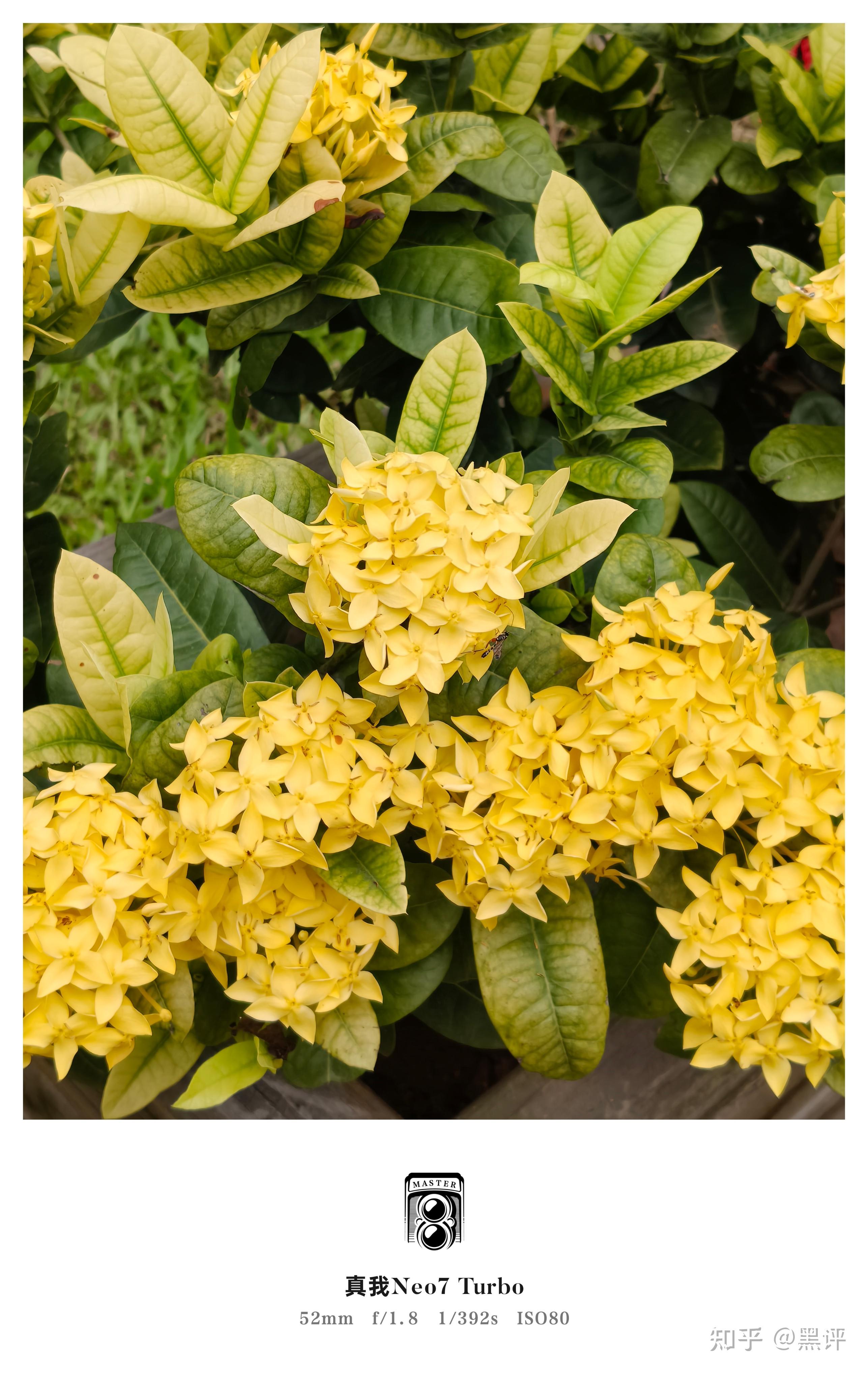 真我Neo7 Turbo值不值得买？深度体验之后，我来告诉你 - 知乎