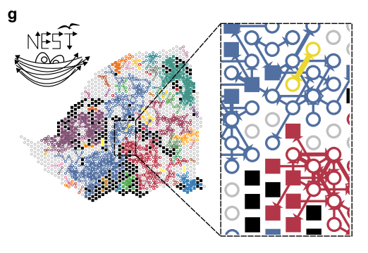 10X空间转录组NEural network on Spatial Transcriptomics - 知乎