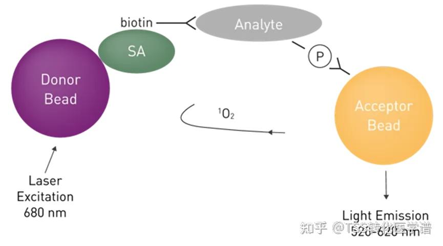 带你了解Alpha Screen技术 - 知乎