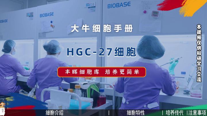 HGC-27细胞培养，人未分化胃癌细胞培养攻略 - 丰晖生物 - 知乎