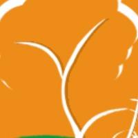 软件设计开发笔记4：QT操作SQLite数据库 - 知乎