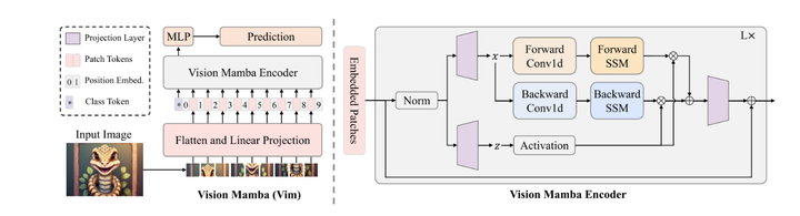 Vision Mamba: Efficient Visual Representation Learning with Bidirectional State Space Model 论文解读 ...