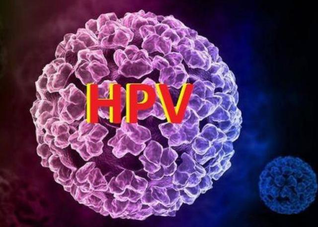 广州蕙心医院HPV诊疗中心朱黎明主任：hpv16型和18型感染哪个更严重 - 知乎