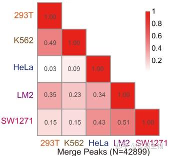 一文带你解锁新技术—CUT&Tag技术 - 知乎