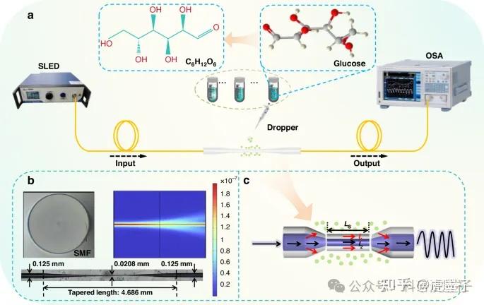 破解传感难题！燕山大学团队《Light Sci Appl》发文：LSTM助力光纤干涉测量实现灵敏度与范围双赢 - 知乎
