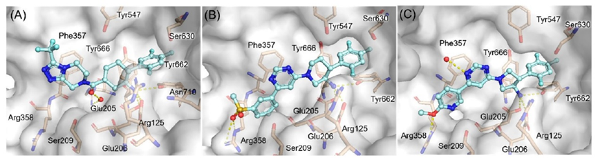 DPP-4 抑制剂、及长效药物设计原理 - 知乎