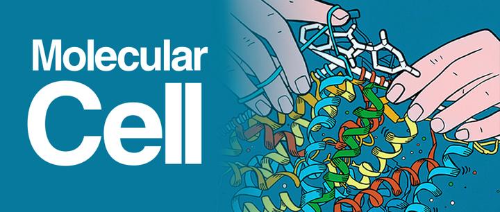 Mol Cell | 浙大医学院王青青/来利华/丁克峰团队揭示乳酸化调控RNA m⁶A修饰促进肿瘤的免疫抑制 - 知乎